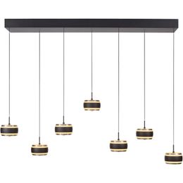 Neuhaus PURE LED Pendelleuchte &raquo;PURE Falling Rings&laquo; LED-Board 1 Stk. warmwei&szlig; - kaltwei&szlig; Comfort Lift, CCT, dimmbar, Fernbedienung, Timer schwarz 7, H