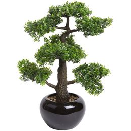 Kunstbonsai &raquo;Ficus Bonsai&laquo; gr&uuml;n Kunststoff &Oslash;/H: 36cm x 49cm, 1 Stk.