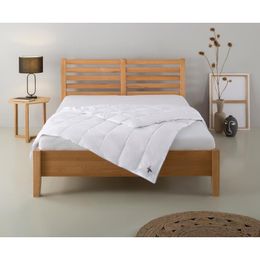 OTTO home Daunenbettdecke &raquo;Lodiken Bettdecke 135x200 cm, 155x220 cm&laquo; leicht F&uuml;llung 70% Daunen & 30% Federn 1 Stk. tlg. Bettdecken, Sommer, Herbst, 