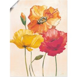 Artland Wandbild &raquo;Bunte Mohnblumen I&laquo; Blumenbilder 1 Stk. tlg. als Leinwandbild, Poster in verschied. Gr&ouml;&szlig;en bunt B/H/T: 45cm x 60cm, Poster Blumenbilder 