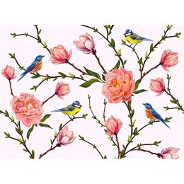 Livingwalls living walls Fototapete &raquo;Designwalls Little Birds&laquo; glatt Vlies, Wand, Schr&auml;ge, Decke bunt Vlies B/L: 3,5m x 2,55m