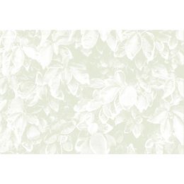 ARCHITECTS PAPER Fototapete &raquo;Atelier 47 Light Leaves 2&laquo; floral glatt Vlies, Wand, Schr&auml;ge, Decke gr&uuml;n Vlies B/L: 4m x 2,7m