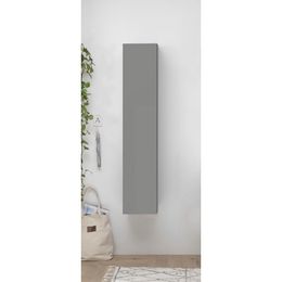 Home Affaire Mehrzweckschrank &raquo;Infinity&laquo; H&ouml;he 138 cm grau Steingrau Ardesia, B/H/T: 29cm x 138cm x 30cm, T&uuml;ren: 1 Stk., Komplettausf&uuml;hrung