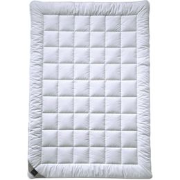 Billerbeck Kunstfaserbettdecke &raquo;520 ALCANDO , Bettdecken f&uuml;r Sommer und Winter, Decke&laquo; leicht F&uuml;llung 100% Polyester (AIRSOFT - Hohlfaser) 1 Stk. tlg.
