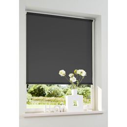 OTTO home Rollo &raquo;Themse-Uni&laquo; Lichtschutz Sichtschutz ohne Bohren freih&auml;ngend Bestseller, Rollo Fenster, Seitenzugrollo, Sonnenschutz grau Polyester 