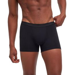 Falke Herren Falke Boxer &raquo;Daily Climate Control&laquo; ohne Eingriff, atmungsaktiv, elastischer Logobund schwarz 3XL