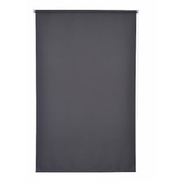 GOOD LIFE Seitenzugrollo &raquo;Amelie&laquo; Lichtschutz mit Bohren 1 St&uuml;ck grau Polyester 180cm, 62cm