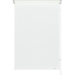 Gardinia Seitenzugrollo &raquo;Uni-Rollo&laquo; Lichtschutz Sichtschutz mit Bohren freih&auml;ngend 1 St&uuml;ck, im Fixma&szlig; wei&szlig; Polyester 230cm, 102cm