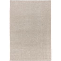 Astra Teppich &raquo;Savona 180&laquo; rechteckig 20 mm H&ouml;he Wohnzimmer beige Kunstfaser B : 200cm 1 Stk., 20mm, L: 290cm