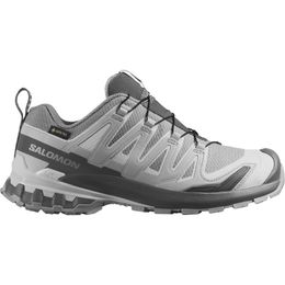 Salomon Xa Pro 3D V9 GTX Schuhe Damen grau 43.3