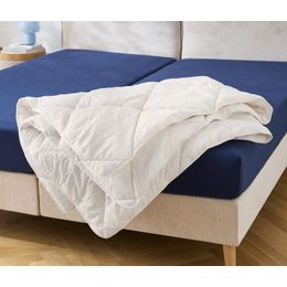 Tchibo - Steppbett Schafschurwolle - wei&szlig;