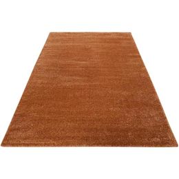 Esprit Teppich &raquo;California ESP-22937&laquo; rechteckig 18 mm H&ouml;he sehr weicher dichter Flor, Wohnzimmer, Schlafzimmer, Esszimmer, uni braun Kunstfaser B : 80cm 1 