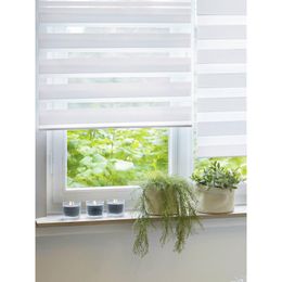 Gardinia Doppelrollo &raquo;mit Aluminiumkassette&laquo; Lichtschutz Sichtschutz mit Bohren freih&auml;ngend Hochwertige Optik und Staubschutz wei&szlig; Polyester 160cm, 