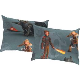 WIRTH Dekokissen &raquo;Dragons&laquo; Universal Pictures, Kissenh&uuml;lle ohne F&uuml;llung, 2 St&uuml;ck grau Polyester B/L: 40cm x 40cm, 2 Stk.