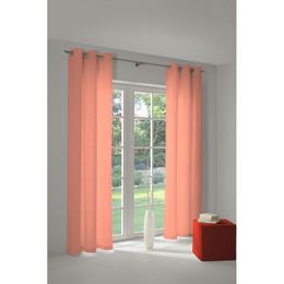 Adam Vorhang &raquo;Uni Collection&laquo; &Ouml;sen 1 Stk. tlg. aus 100% Bio-Baumwolle orange Jacquard, Baumwolle (Bio-Baumwolle) 245cm, &Ouml;sen, 145cm