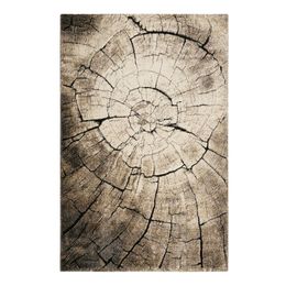 Wecon Home Teppich &raquo;Wild Oak&laquo; rechteckig 13 mm H&ouml;he Holz Optik, Wohnzimmer braun Kunstfaser B : 80cm 1 Stk., 13mm, L: 150cm