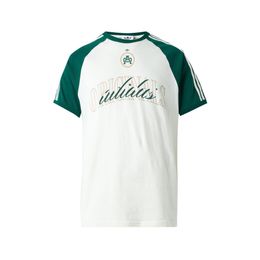 adidas originals T-Shirt 'BASEBALL GFX' Herren Gr&ouml;&szlig;e XL beige / dunkelgr&uuml;n / wei&szlig;