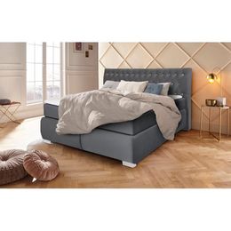 LEONIQUE Boxspringbett &raquo;Rumba&laquo; Taschenfederkern-Matratze in H&auml;rtegrad 3, in 4 Breiten, incl. Topper grau Samtoptik (100% Polyester) Liegefl&auml;che B/L: 160cm x 