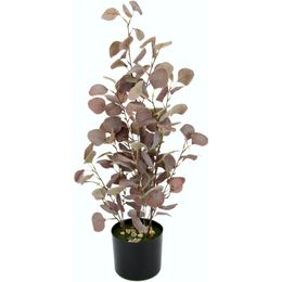 I.GE.A. Kunstpflanze &raquo;Eukalyptuspflanze&laquo; im Kunststofftopf rot Obermaterial: 50% Kunststoff, 50% Polyester B/H/L: 33cm x 75cm, 1 Stk.