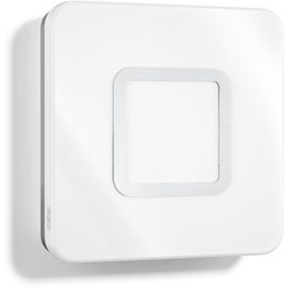 Steinel LED Wandleuchte &raquo;RS&laquo; LED-Board Warmwei&szlig; wei&szlig; H: 20cm