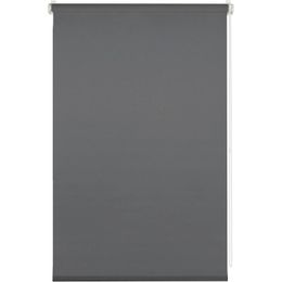 Gardinia Seitenzugrollo &raquo;Uni Klemmrollo&laquo; Lichtschutz Sichtschutz mit Bohren/ohne Bohren freih&auml;ngend Schraubmontage m&ouml;glich grau Polyester 150cm, 