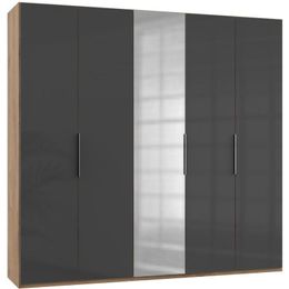 wimex Kleiderschrank &raquo;Level by fresh to go&laquo; mit Glas- und Spiegelt&uuml;ren grau B/H/T: 250cm x 236cm x 58cm, T&uuml;ren: 5 Stk.