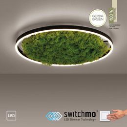 JUST LIGHT Deckenleuchte &raquo;GREEN RITU&laquo; LED-Board 1 Stk. Warmwei&szlig; gr&uuml;n 1, &Oslash; 58,5cm H: 5,3cm, 1 Stk.