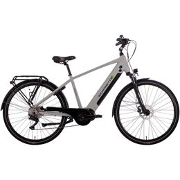 Saxonette Herren SAXONETTE &raquo;Premium Sport (Diamant)&laquo; 10 Gang Kettenschaltung Mittelmotor 250 W Pedelec, Elektrofahrrad f&uuml;r Herren silber 54cm, 28 Zoll