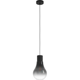 Eglo H&auml;ngeleuchte &raquo;CHASELY&laquo; E27 1 Stk. H&auml;ngeleuchte in schwarz aus Stahl - exkl. E27 - 40W schwarz &Oslash; 20cm H: 110cm, 1 Stk.
