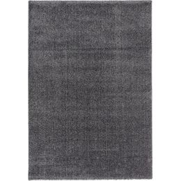 Astra Teppich &raquo;Savona 180&laquo; rechteckig 20 mm H&ouml;he Wohnzimmer grau Kunstfaser B : 67cm 1 Stk., 20mm, L: 130cm