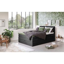 COTTA Boxspringbett &raquo;Shark inkl. Bettkasten und Topper&laquo; erh&auml;ltlich in den Breiten 140x200cm, 160x200cm und 180x200cm schwarz 100% POLYESTER (PES) 