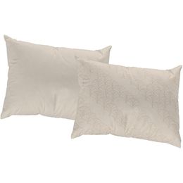 Adam Dekokissen &raquo;Argentinian Criolla&laquo; mit Palmenmuster, Wendekissenh&uuml;lle ohne F&uuml;llung, 1 St&uuml;ck beige Baumwolle B/L: 60cm x 40cm, 1 Stk.