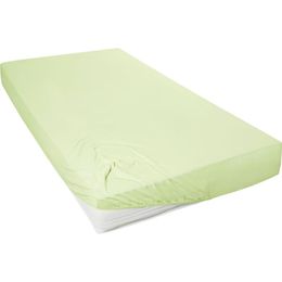 Primera Spannbettlaken &raquo;Mako-Feinjersey Spannbetttuch&laquo; Geeignet f&uuml;r Standardmatratzen bis 22 cm, 100% Baumwolle gr&uuml;n Mako-Jersey, Obermaterial: 100% Baumwolle