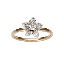 Firetti Damen Goldring &raquo;Schmuck Geschenk Gold 585 Damenring Goldring Blume&laquo; Made in Germany - mit Brillanten rosa 16, 0,15 P2 = erkennbare Einschl&uuml;sse