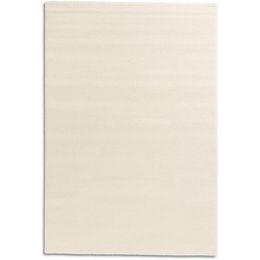 Sch&ouml;ner Wohnen Kollektion SCH&Ouml;NER WOHNEN-Kollektion Teppich &raquo;Joy&laquo; rechteckig 22 mm H&ouml;he Wohnzimmer beige Kunstfaser B : 160cm 1 Stk., 22mm, L: 230cm