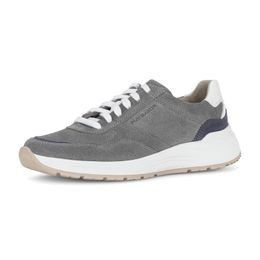 Pius Gabor Herren Sneaker , Freizeitschuh, Halbschuh, Schn&uuml;rschuh mit Kontrastbes&auml;tzen, G-Weite grau 7,5 (41)