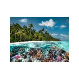 Ravensburger Puzzle 2.000 Teile Ein Tauchgang auf den Malediven in bunt | Gr.: onesize