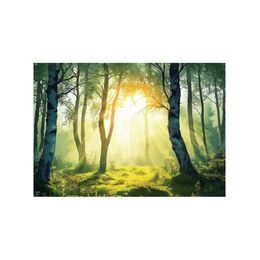 WALLARENA Fototapete Wald in Gr&uuml;n | Gr.: 400 x 280 cm
