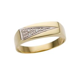 Firetti Herren Goldring &raquo;Schmuck Geschenk Gold 333 Herrenring Goldring Siegelring&laquo; mit Brillanten wei&szlig; 21, 0,02 P2 = erkennbare Einschl&uuml;sse, Diamanten