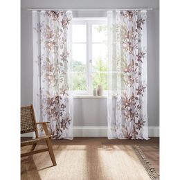 OTTO home Gardine &raquo;Ina&laquo; Kr&auml;uselband 2 Stk. tlg. transparent, 2-er Set, einseitig bedruckt, Voile braun Voile, Polyester 175cm, Kr&auml;uselband, 144cm