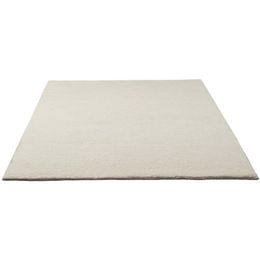 OTTO home Wollteppich &raquo;Mohan, handgekn&uuml;pft&laquo; rechteckig 25 mm H&ouml;he echter Berber aus Marokko, reine Wolle, Woll-Shaggy, Wohnzimmer beige Wolle B : 60cm