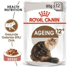 Royal Canin Ageing +12 in So&szlig;e 48x85 g