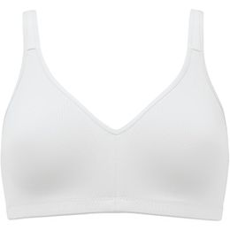 Naturana B&uuml;gelloser BH &raquo;Elasticup&laquo; 1 Stk. vorgeformte Cups, breite Tr&auml;ger, ohne B&uuml;gel, bequem, basic wei&szlig; 80, Cup B/C/D B&uuml;gelloser BH