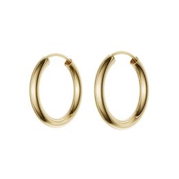 Firetti Damen Paar Creolen &raquo;Schmuck Geschenk Silber 925 2,5 mm breit&laquo; Made in Germany gold 20, Silber 925 (Sterlingsilber)