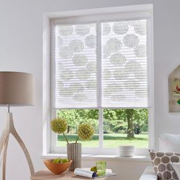 OTTO home Plissee &raquo;BELUM&laquo; Lichtschutz ohne Bohren verspannt im Fixma&szlig;, Ausbrenner, Kreise, Blumen, Klemmtr&auml;ger, F&uuml;r Fenster & T&uuml;r wei&szlig; Obermaterial: 