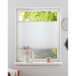 OTTO home Plissee &raquo;DAHRA - in Crush-Optik&laquo; Lichtschutz ohne Bohren verspannt Fixma&szlig;, Bestseller mit Klemmtr&auml;ger, Sonnenschutz, f&uuml;r Fenster & T&uuml;r wei&szlig; 