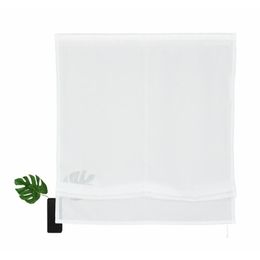 OTTO home Raffrollo &raquo;Regina&laquo; mit Klettband Transparent, Voile, Polyester wei&szlig; Voile, Obermaterial: 100% Polyester 140cm, Klettband, 45cm