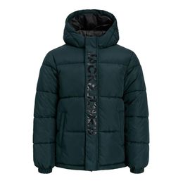 Jack & Jones JACK & JONES Junior Steppjacke in Magical Forest | Gr.: 128