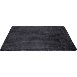 Dyckhoff Badematte &raquo;Siena&laquo; H&ouml;he 30 mm rutschhemmend beschichtet fu&szlig;bodenheizungsgeeignet grau Polyester rechteckig (50cm x 80cm ) WC-Vorleger rechteckig ohne 