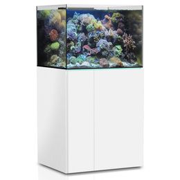 Aqua Medic Meerwasseraquarium Armatus XD wei&szlig; 375